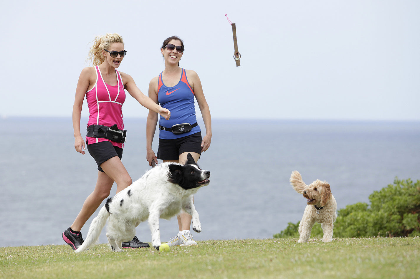 DOOG - The Sticks Dog Fetch Toy - Twiggy | Peticular