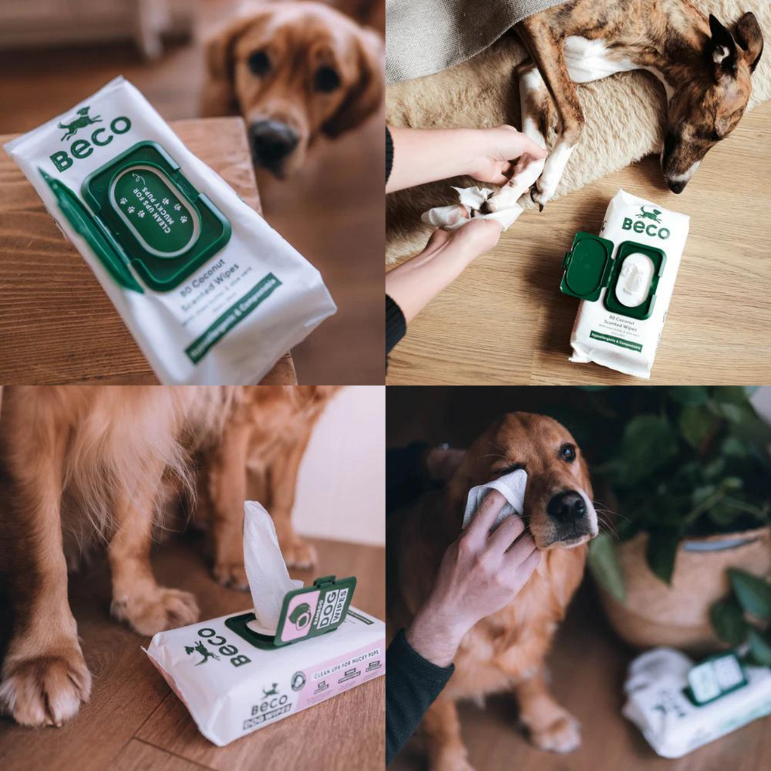 Beco - Coconut Scented Bamboo Dog Wipes | Peticular