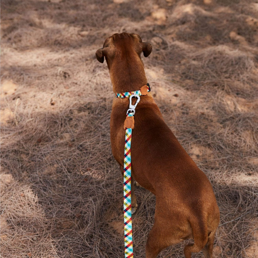 Zee.Dog | Phantom Dog Leash | Gingham Design – Peticular